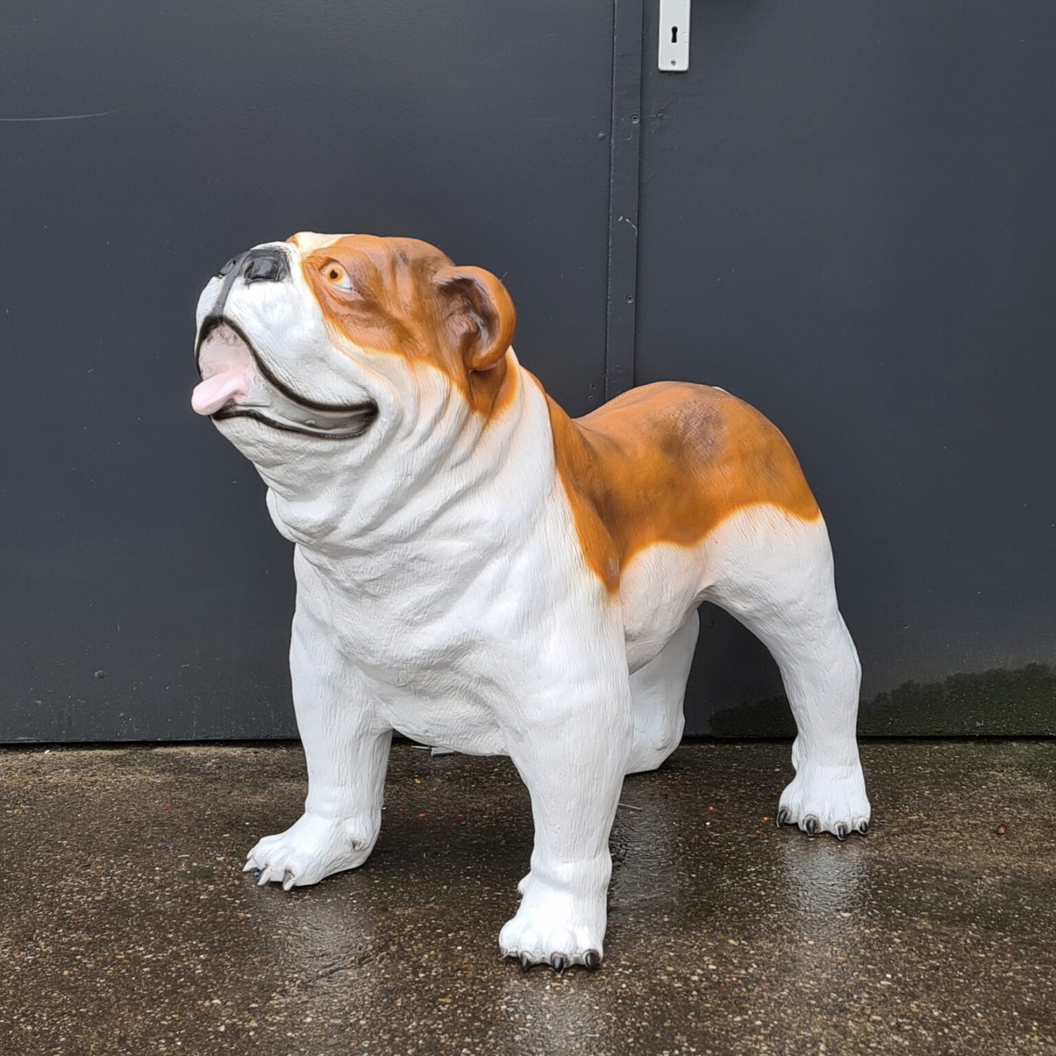 Beeld Bulldog XXL kopen online in de webwinkel Vrolijke Beelden